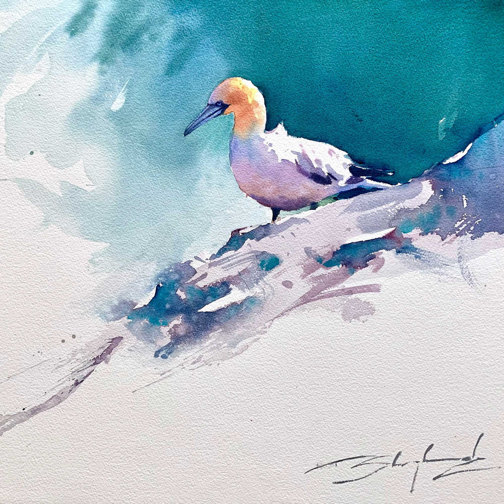 Gallery - Tom Shepherd Art