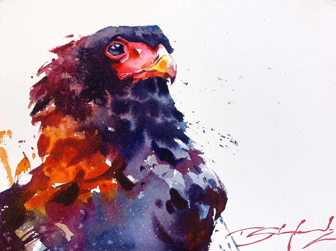 Gallery - Tom Shepherd Art