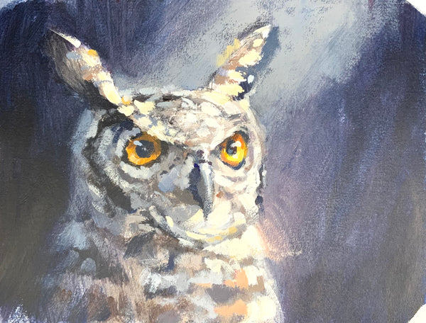 Long-Eared Owl - Tom Shepherd Art