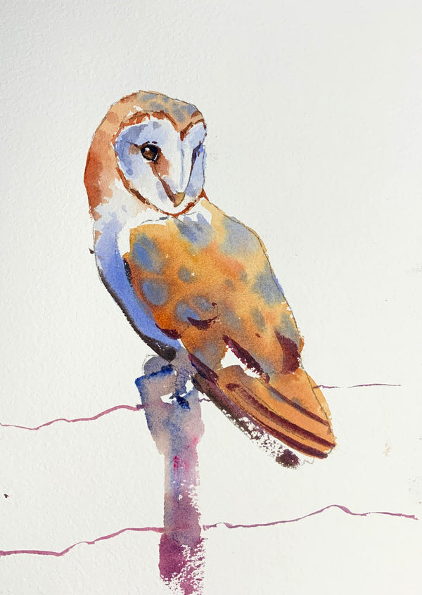 Barn Owl - Tom Shepherd Art