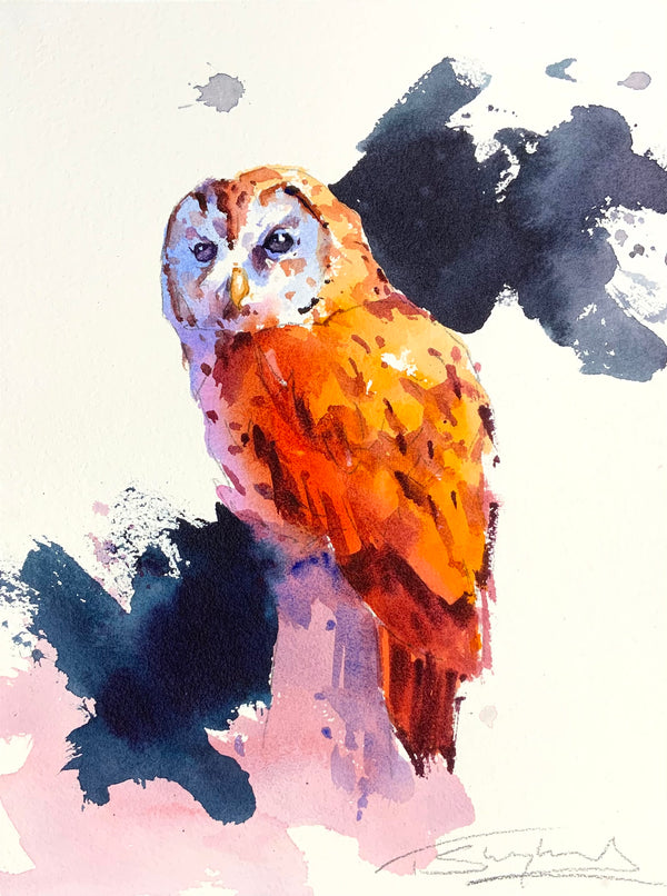 Tawny Owl - Tom Shepherd Art