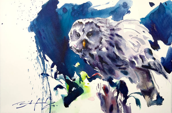 Snowy Owl - Tom Shepherd Art